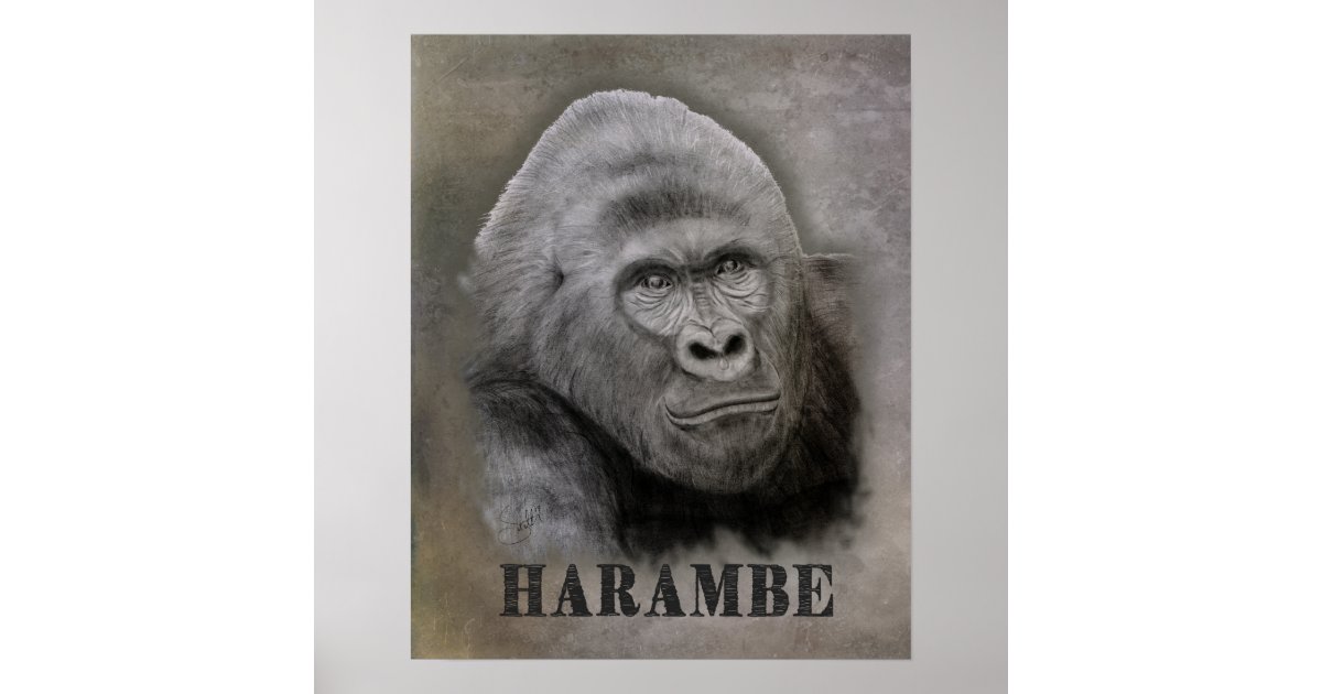 Harambe (Graphite Drawing) Poster | Zazzle