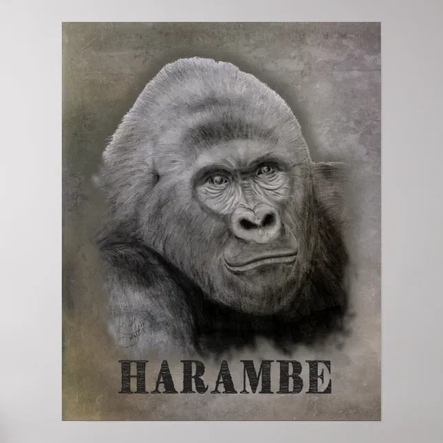 Harambe (Graphite Drawing) Poster | Zazzle