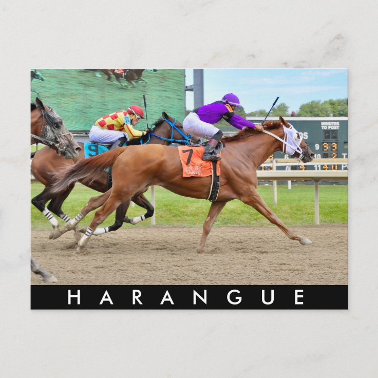 Harangue Postcard | Zazzle