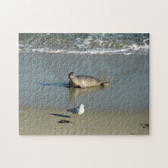 Harbor Seal at La Jolla California Jigsaw Puzzle | Zazzle.com