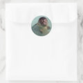 Harbor Seal Sticker | Zazzle