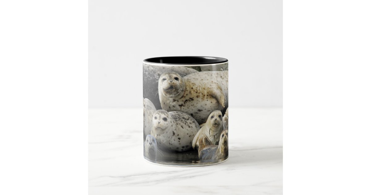Harbor Seals Two-Tone Coffee Mug | Zazzle