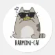 Harmoni-cat Funny Harmonica Cat Pun Classic Round Sticker | Zazzle