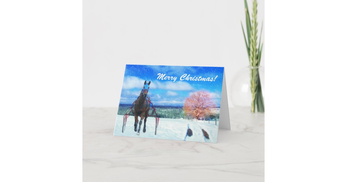 Harness Racing Horse Standardbred Christmas Card | Zazzle