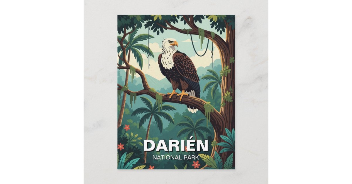 Harpy Eagle in Darien National Park Panama Postcard | Zazzle