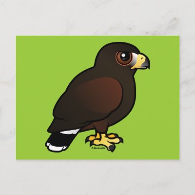 Cute Harris Hawk by Birdorable