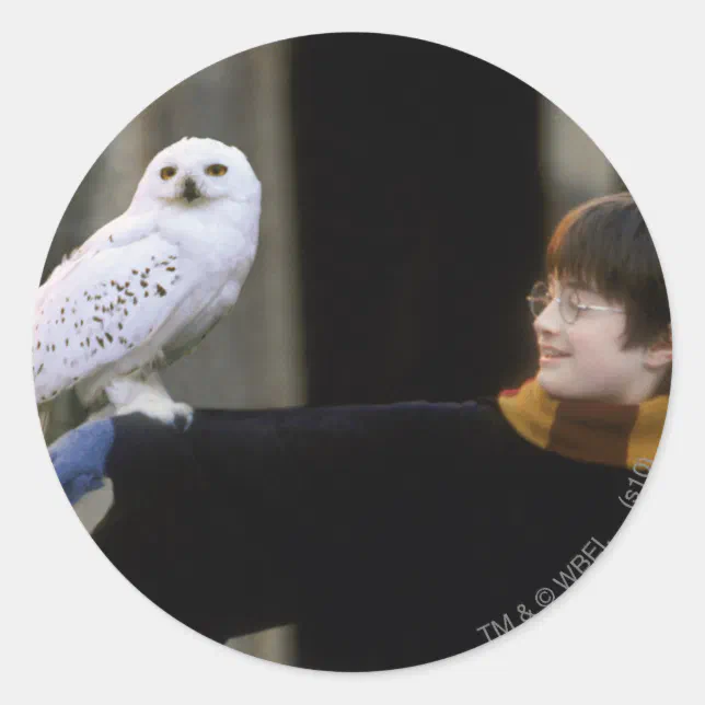 Harry and Hedwig 3 Classic Round Sticker | Zazzle