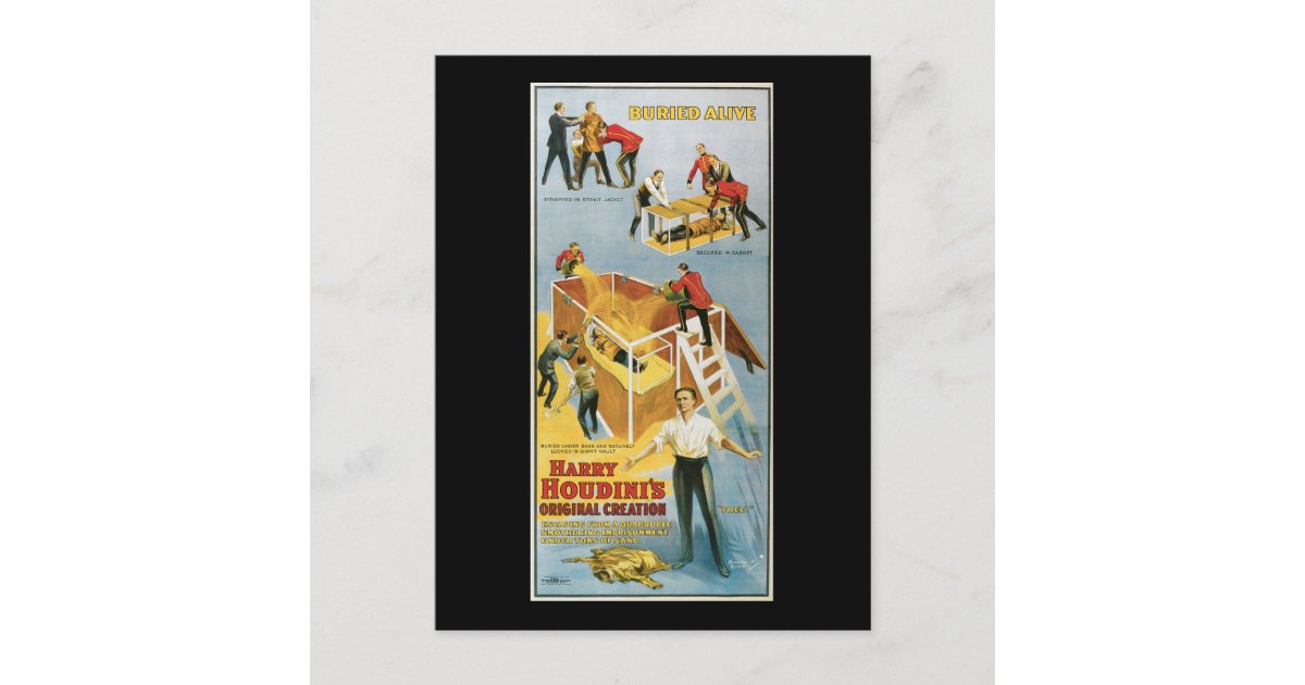 Harry Houdini, Buried Alive Vintage Poster, 1914 Postcard | Zazzle