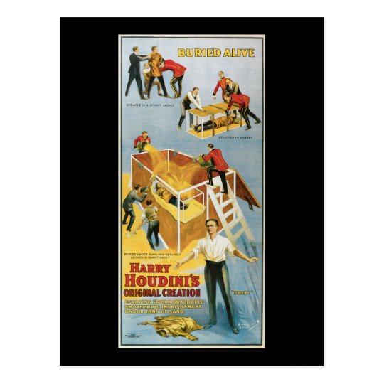 Harry Houdini, Buried Alive Vintage Poster, 1914 Postcard | Zazzle.com