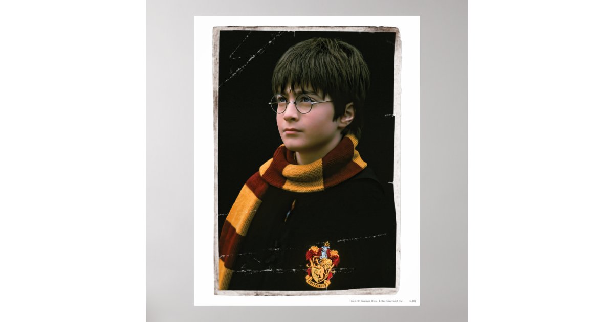Harry Potter 2 Poster | Zazzle