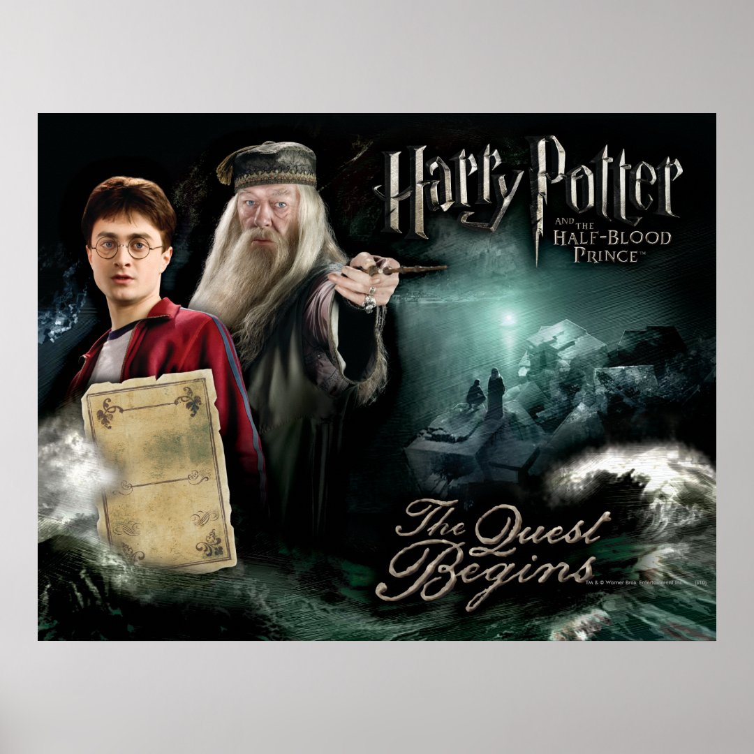 Harry Potter and Dumbledore Poster | Zazzle