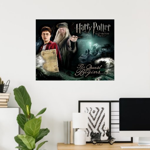 Harry Potter and Dumbledore Poster | Zazzle