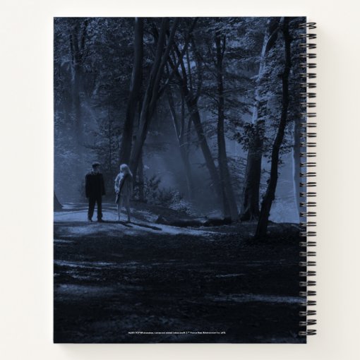 Harry Potter | Exceptionally Ordinary Drawing Notebook | Zazzle