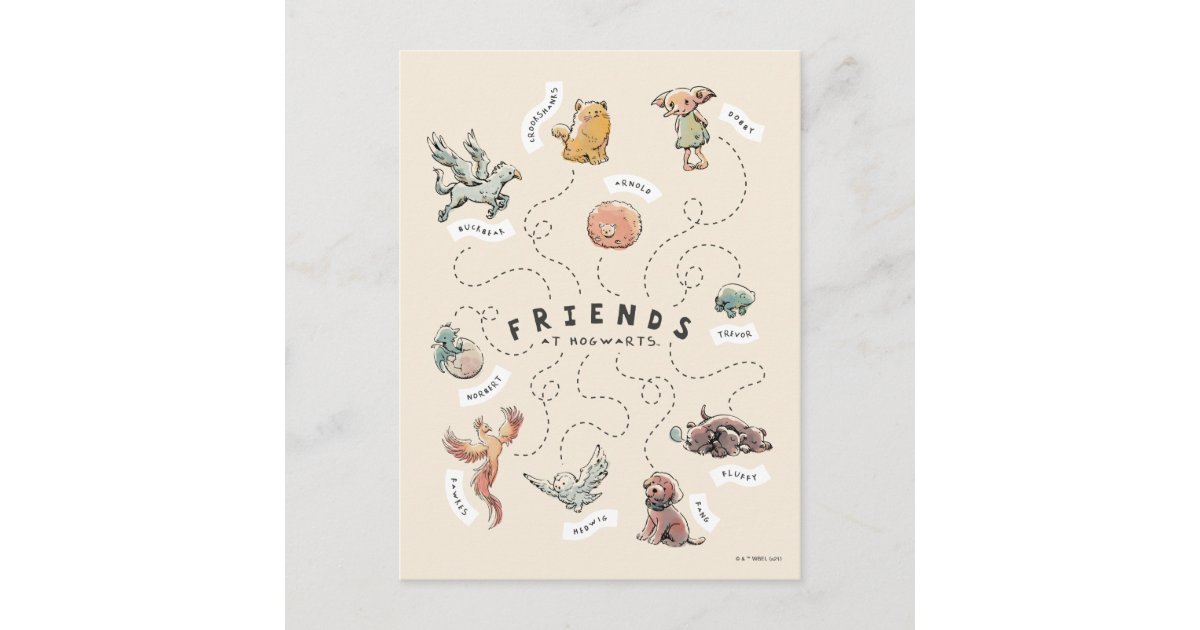 HARRY POTTER™ | Friends of Hogwarts Postcard | Zazzle
