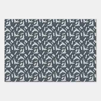 HARRY POTTER™ Hedwig Delivering Letters Pattern Wrapping Paper Sheets ...