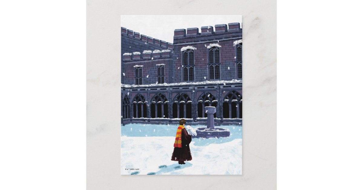 HARRY POTTER™ & Hedwig in HOGWARTS™ Courtyard Postcard | Zazzle