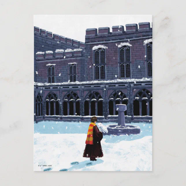 HARRY POTTER™ & Hedwig in HOGWARTS™ Courtyard Postcard | Zazzle