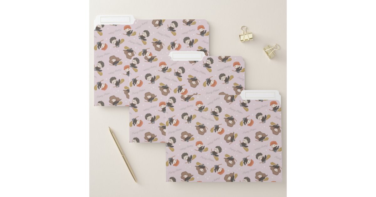 HARRY POTTER™, Hermione, & Ron Flying Pattern File Folder | Zazzle