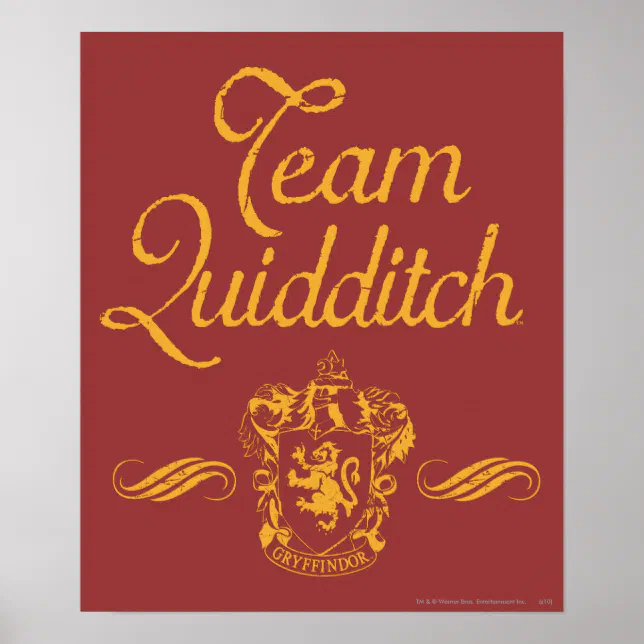 Harry Potter | Team QUIDDITCH™ Poster | Zazzle