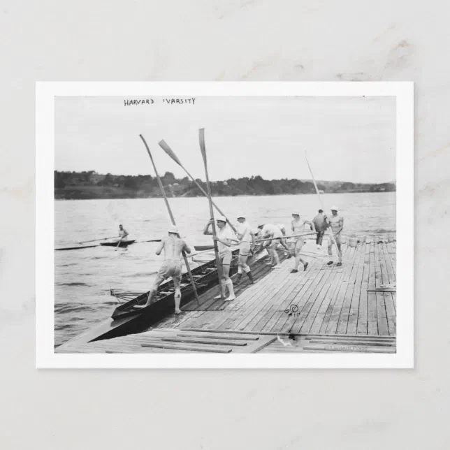 Harvard University Rowing Crew Team Photograph Postcard | Zazzle