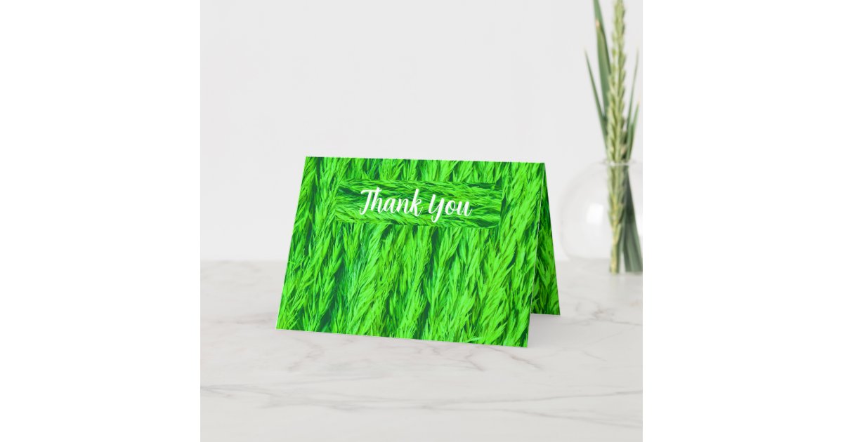 Harvest Green Grass Seed Photo Thank You Card | Zazzle