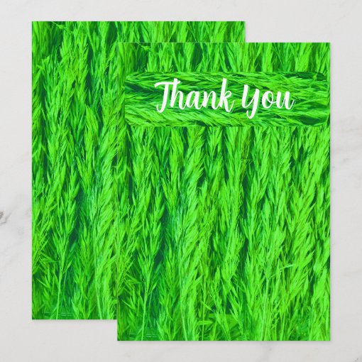 Harvest Green Grass Seed Photo Thank You Card | Zazzle