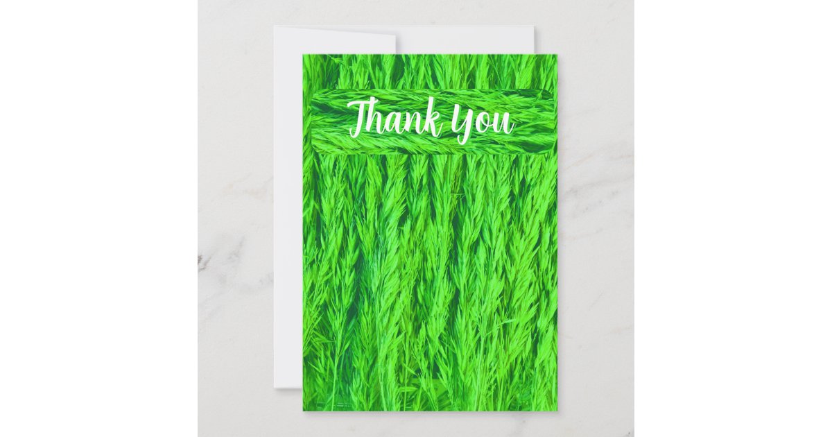 Harvest Green Grass Seed Photo Thank You Card | Zazzle