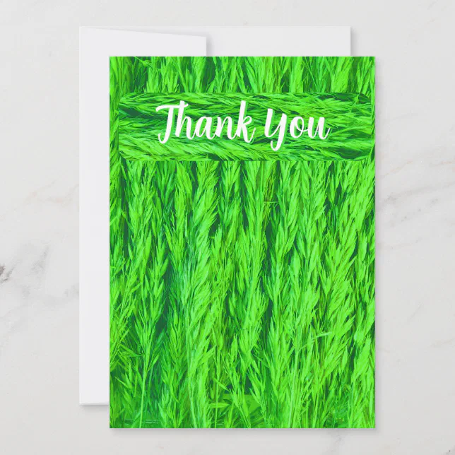 Harvest Green Grass Seed Photo Thank You Card | Zazzle