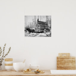 Hauling a Load of Logs, 1908. Vintage Photo Poster | Zazzle