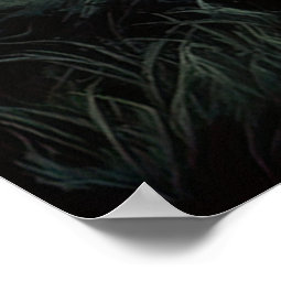 Haunting Beauty of an Ancient Swamp Poster | Zazzle