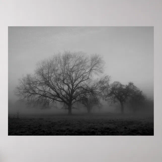 Haunting Fog Canvas Poster | Zazzle