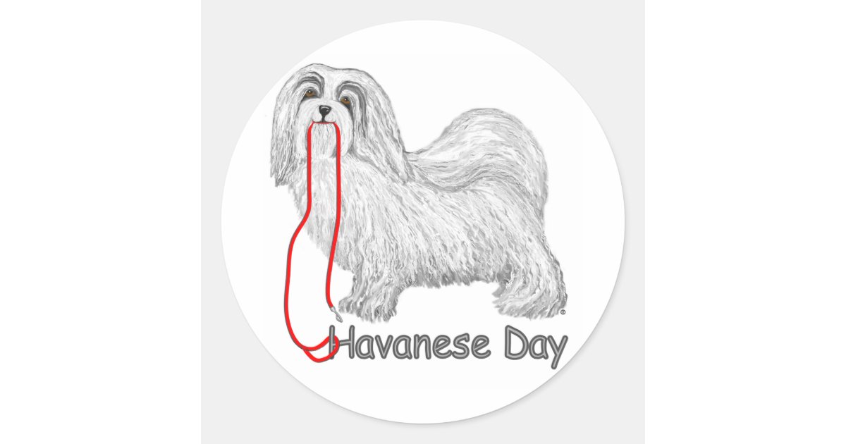 Havanese Day Classic Round Sticker | Zazzle