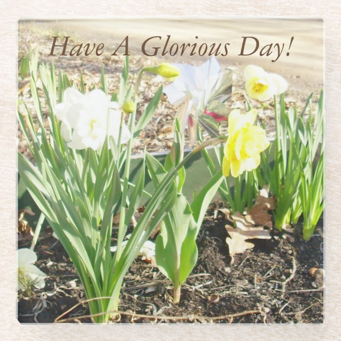 Have A Glorious Day Glass Coaster | Zazzle.com