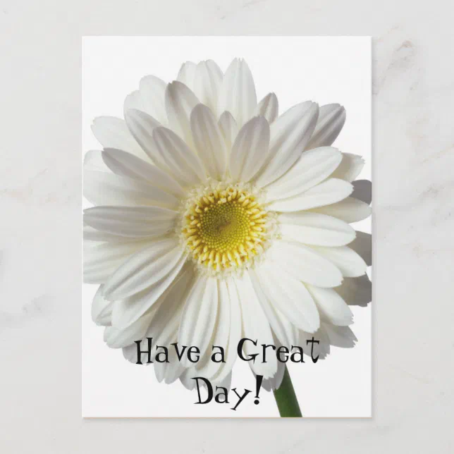 Have a Great Day! Postcard | Zazzle