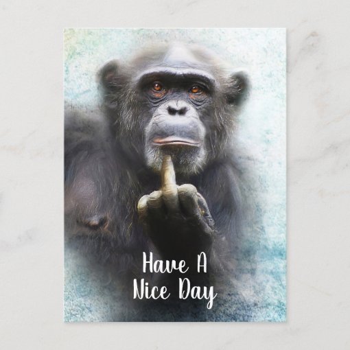 Have A Nice Day Middle Finger Offensive Funny Ape Postcard | Zazzle