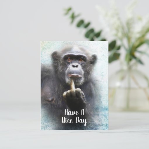 Have A Nice Day Middle Finger Offensive Funny Ape Postcard | Zazzle