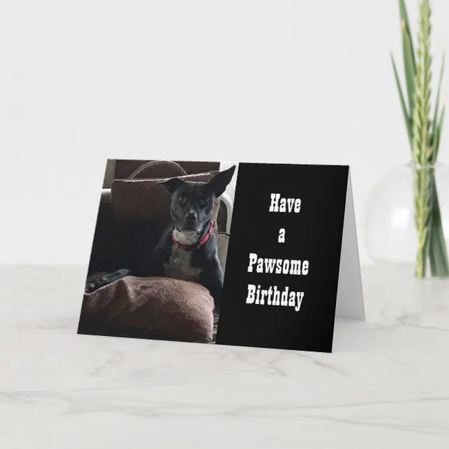 HAVE A **PAWSOME BIRTHDAY** CARD | Zazzle