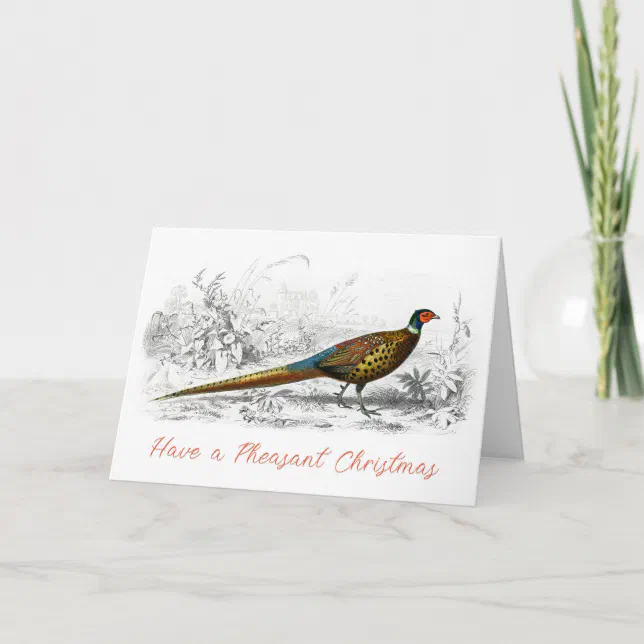 Have a Pheasant Christmas - vintage art folded Holiday Card | Zazzle