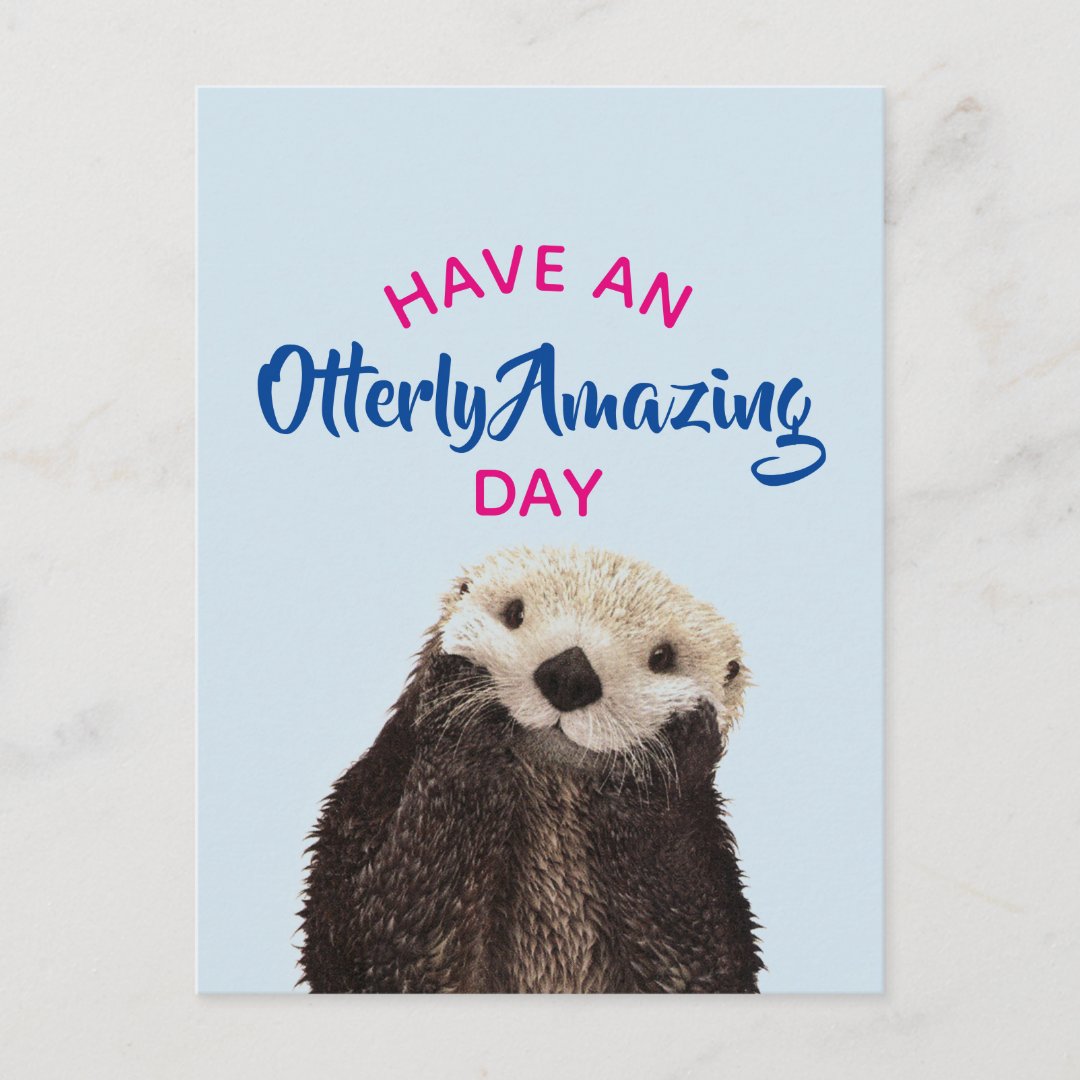 Have an Otterly Amazing Day Cute Otter Photo Postcard | Zazzle