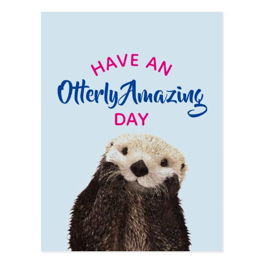 Have an Otterly Amazing Day Cute Otter Photo Postcard | Zazzle.com