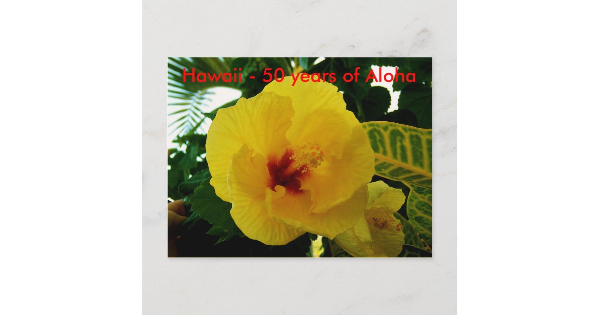 Hawaii 50th State Statehood Postcard | Zazzle