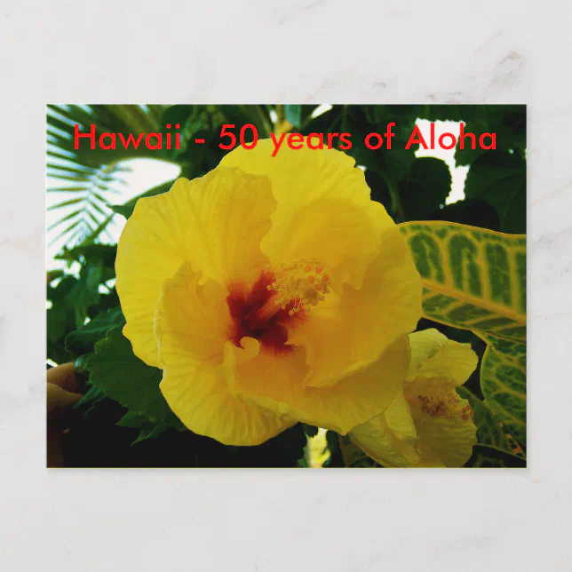 Hawaii 50th State Statehood Postcard | Zazzle