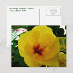 Hawaii Flower Yellow Hibiscus Postcard | Zazzle