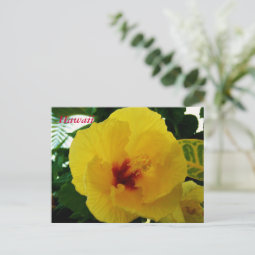 Hawaii Flower Yellow Hibiscus Postcard | Zazzle