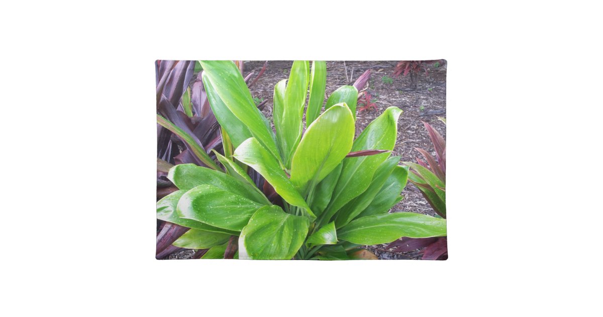 Hawaii Good Luck Plant Placemat | Zazzle