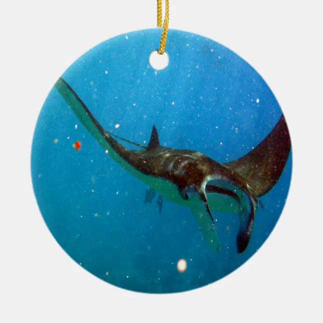 Hawaii Manta Ray Ceramic Ornament | Zazzle