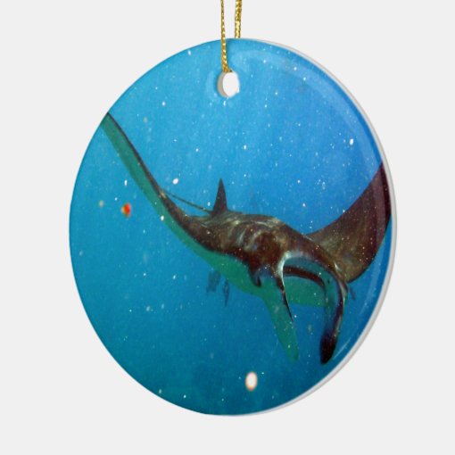 Hawaii Manta Ray Ceramic Ornament | Zazzle