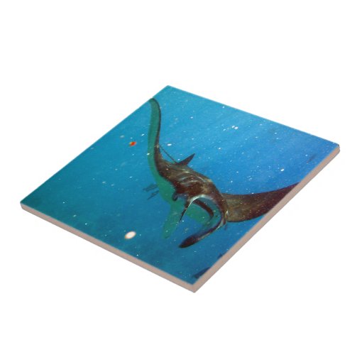Hawaii Manta Ray Ceramic Tile | Zazzle