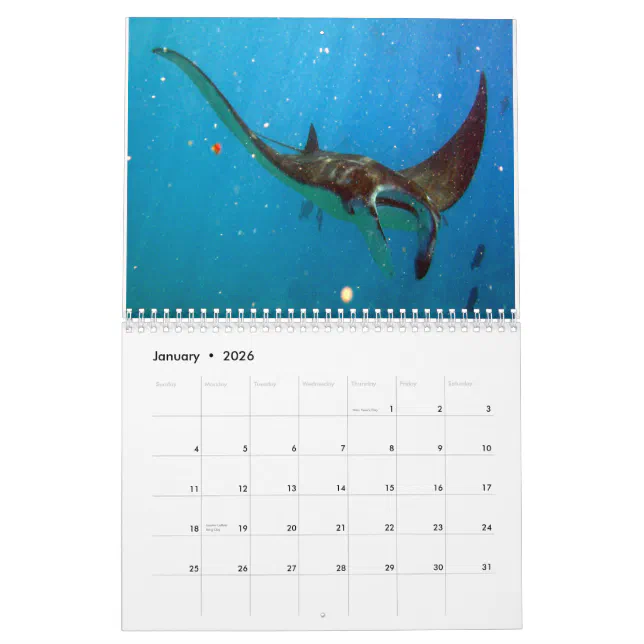 Hawaii Manta Rays, Eels and Octopus Calendar | Zazzle
