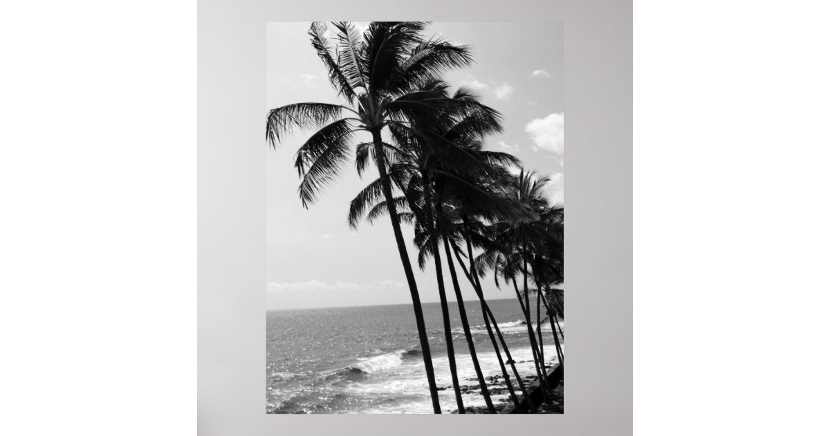 Hawaii Palm Trees Poster | Zazzle